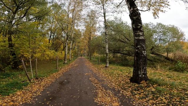 Санкт-Петербург Веломаршруты