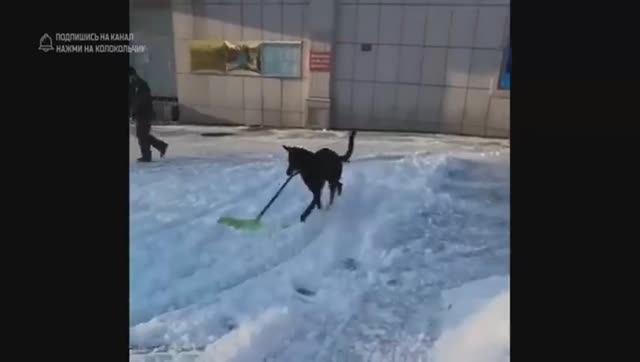 АНЕКДОТЫ ДЛЯ ВЗРОСЛЫХ 18+