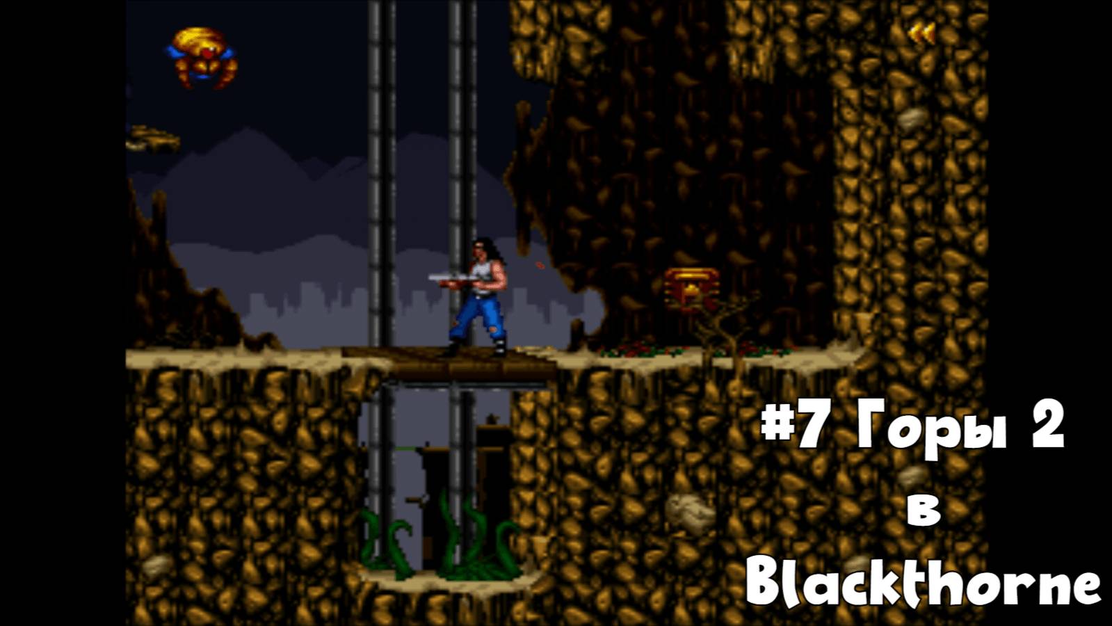 Blackthorne