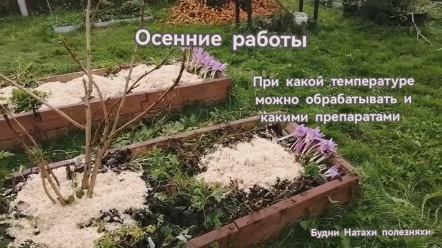 Удача на даче! Дачники выходного дня