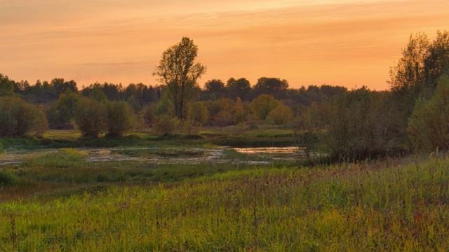 ″РУССКИЙ СЕВЕР″