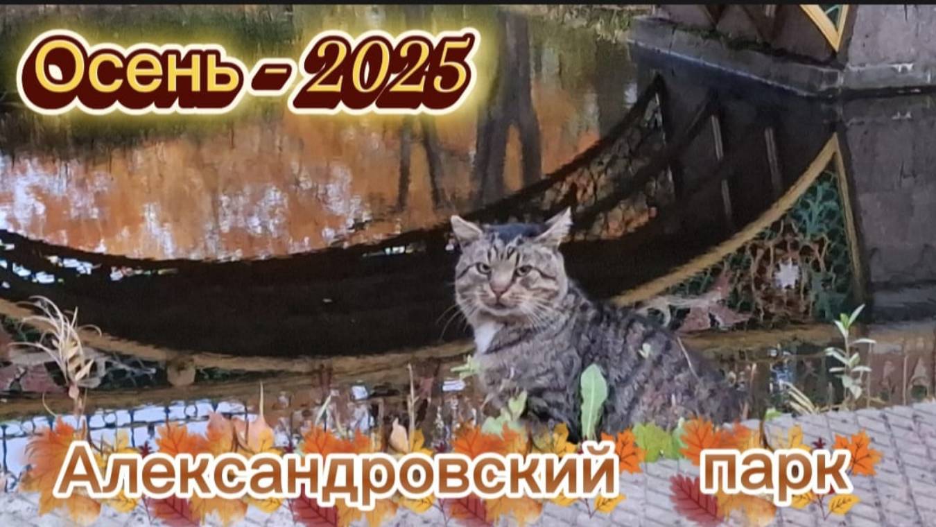 ⁣Осень в Александровском парке: от Ламских прудов до Золотых ворот/Мосты в Пушкине/осень в СПб 2025