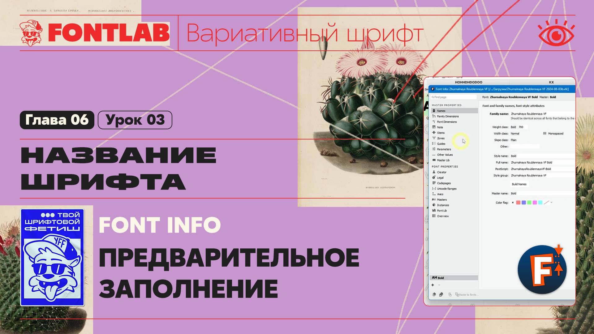 ДВШ 06 - Название шрифта [FontLab]