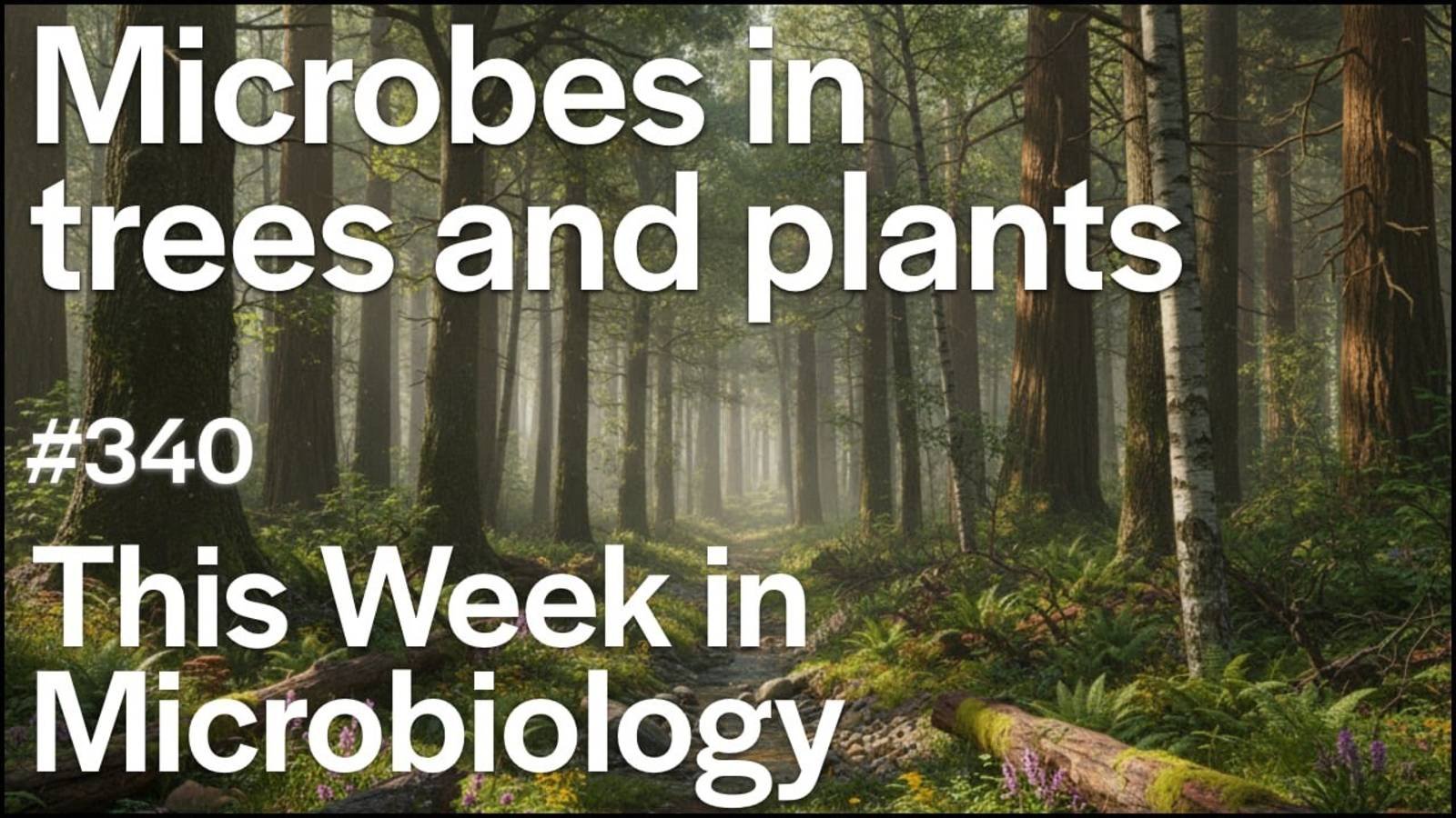 TWiM. This Week in Microbiology (The Microbe.tv podcast)