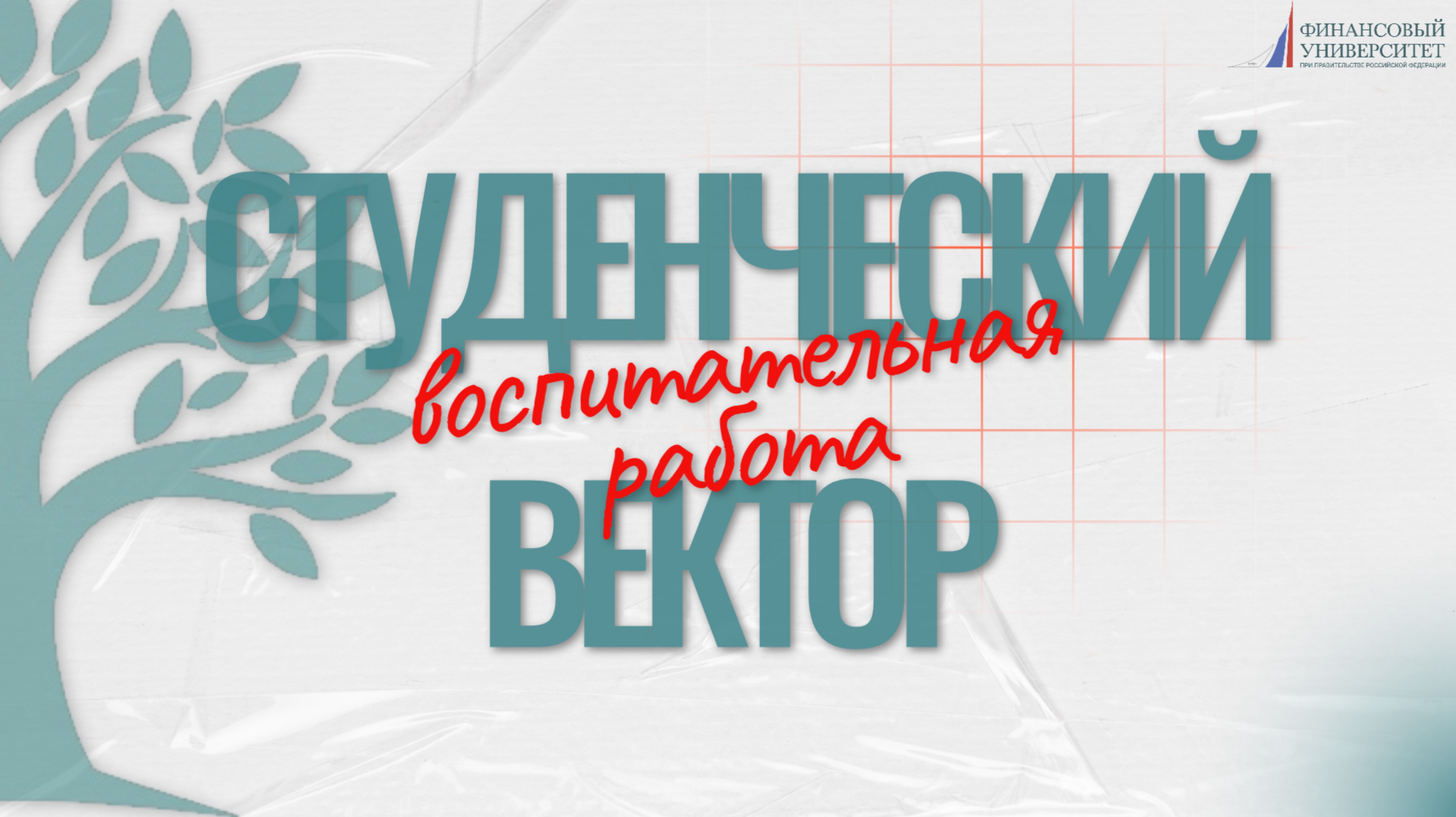 Описание образовательных программ Новороссийского филиала Финуниверситета