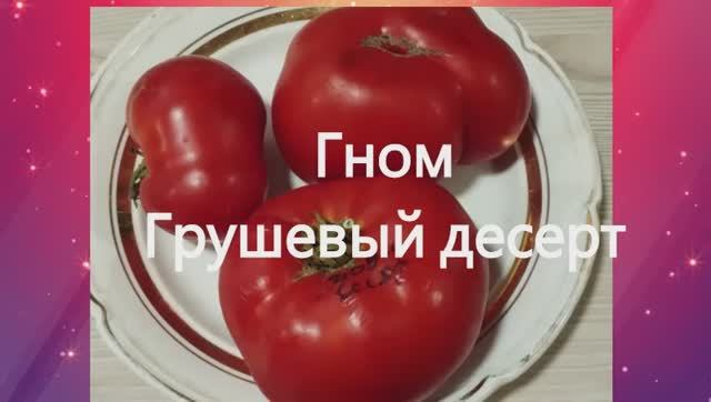 Томатные гномы