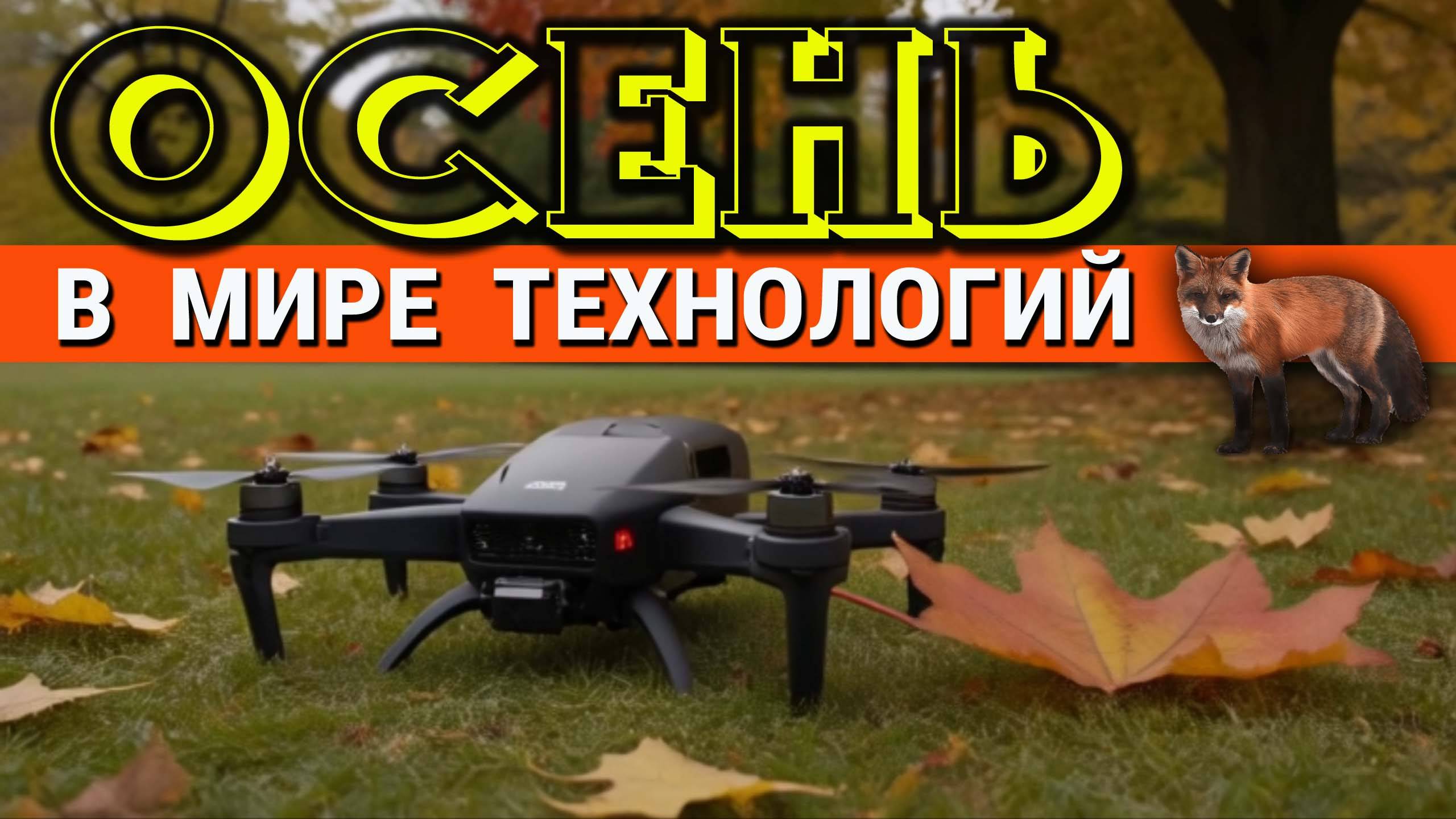 ⁣Осень в Мире технологий. Какие современные технологии можно увидеть в осеннем парке