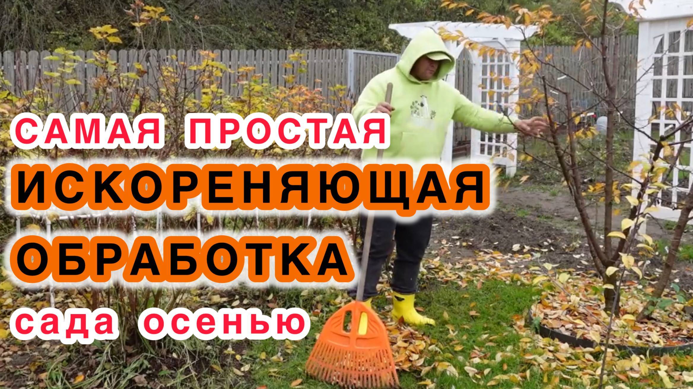 ОГОРОД