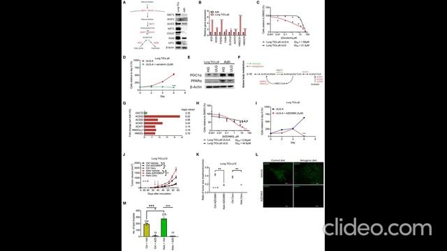 Аудио-обзоры актуальных статей научных журналов