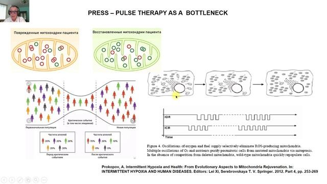 МИТОХОНДРИАЛЬНАЯ МЕДИЦИНА СЕГОДНЯ