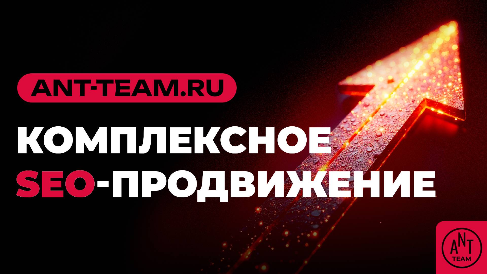 Ant-Team: о компании и услугах