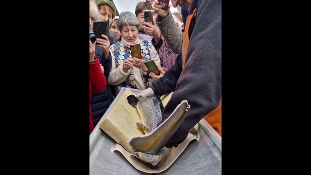 Калининград. Калининградская обл. (Светлогорск, Зеленоградск, Балтийск, Янтарный )