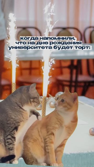 МОМЕНТЫ ЛГТУ