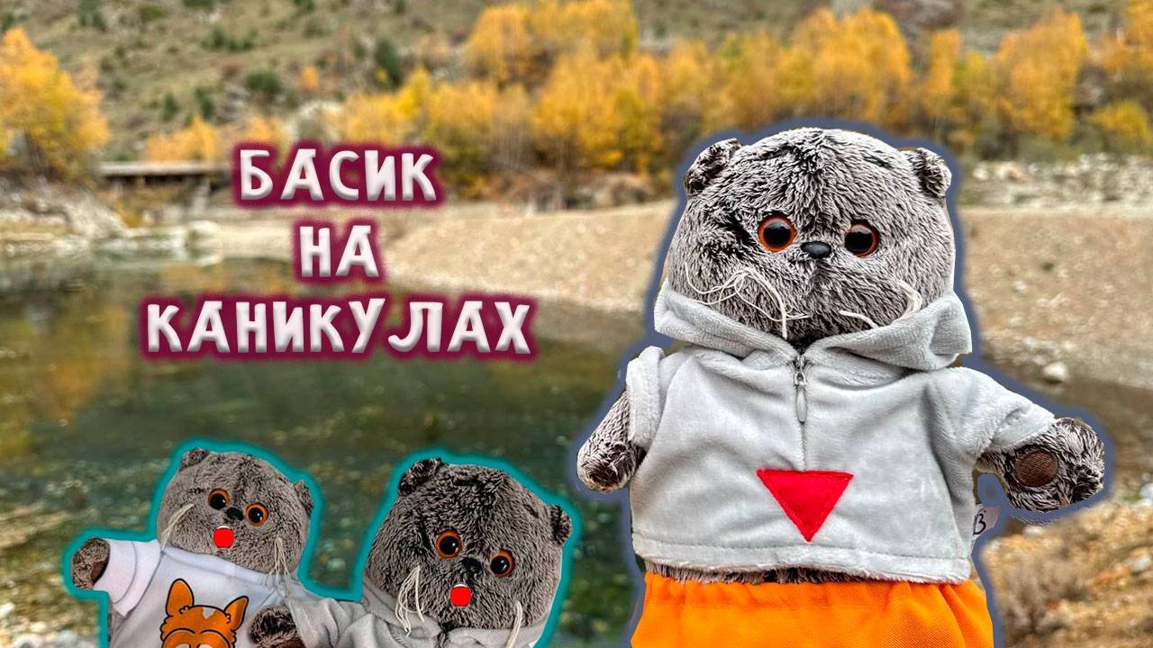ВЛОГИ С БАСИКАМИ 😻😸🙀