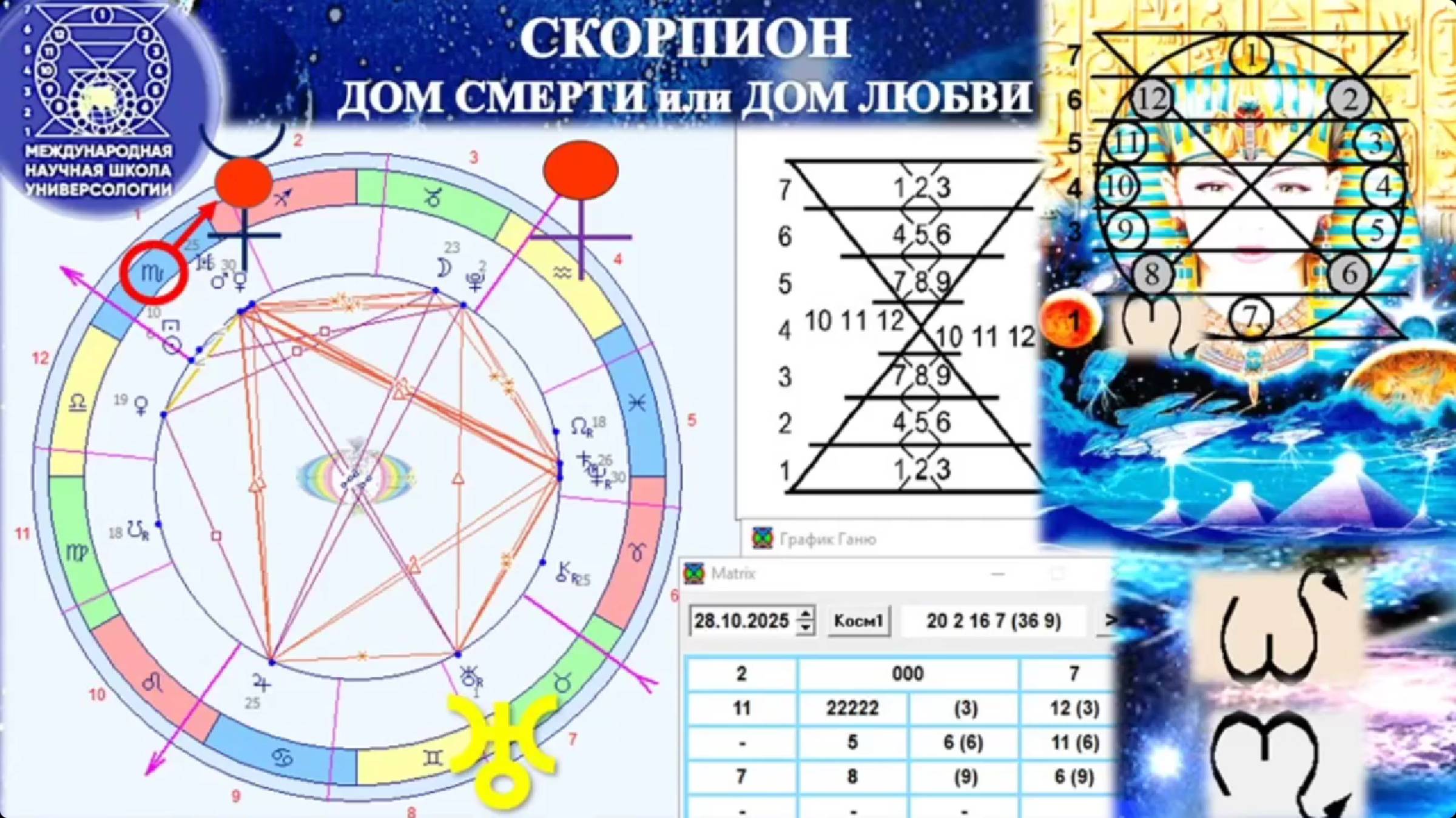 Праздники Лотоса Времени