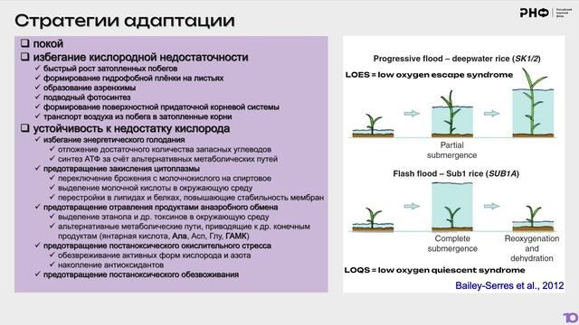 Всероссийский лекторий РНФ-2025
