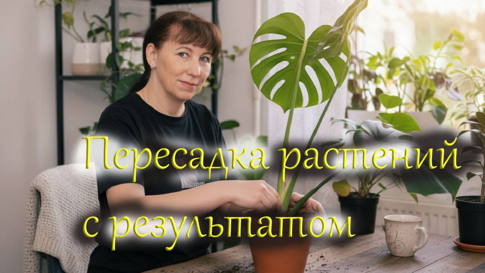 Всё о комнатных растениях