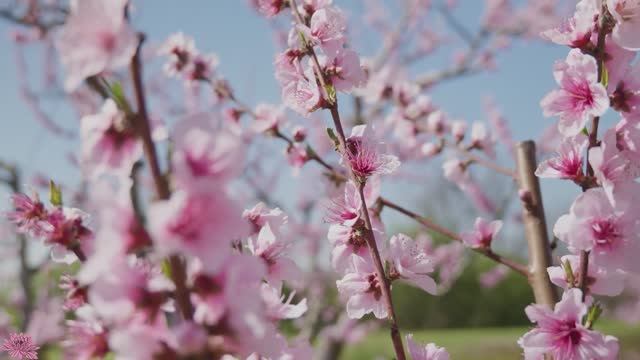 МУЗЫКА ДЛЯ ОТДЫХА И РЕЛАКСАЦИИ