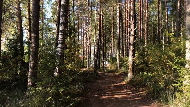 Поездка в Вологодскую область