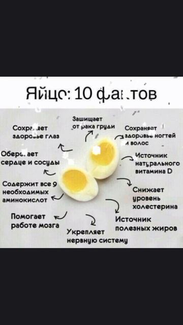 Полезная еда 🍲