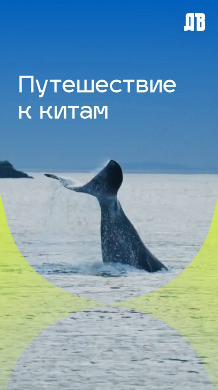 Конкурс «Дальний Восток — Земля приключений».