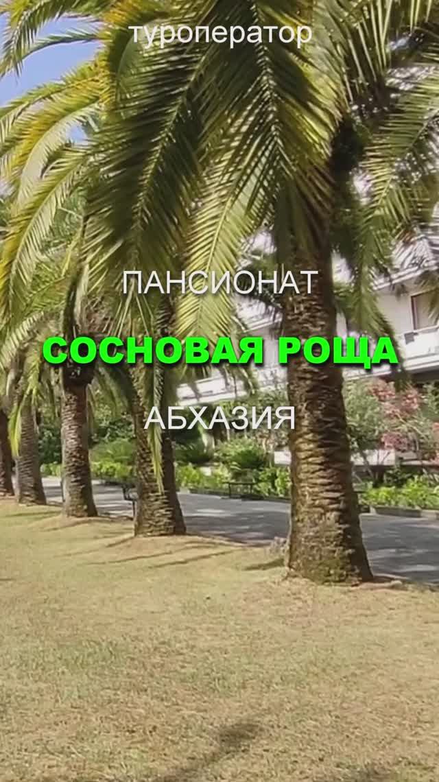 Отдых в Абхазии