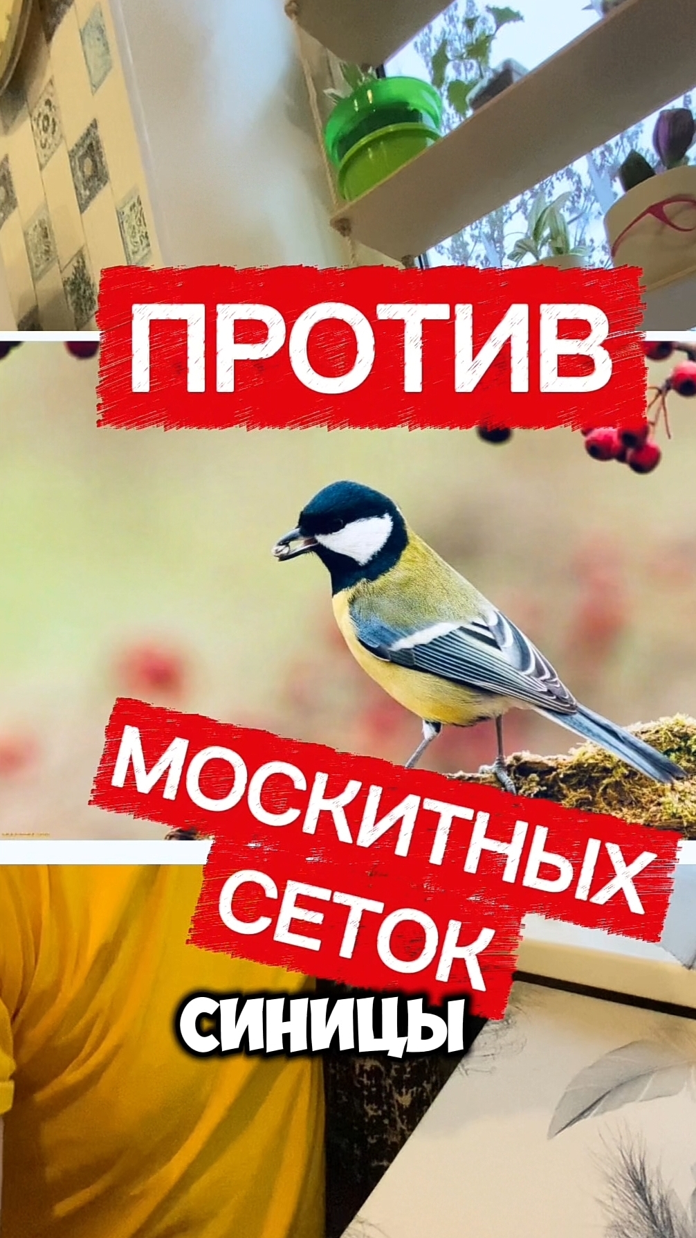 Москитные сетки и ВСЁ О НИХ.