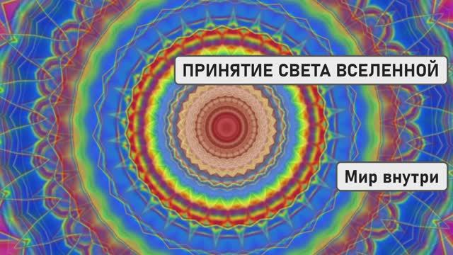 🌿 Дневная медитация | Гармония, перезагрузка и поток энергии