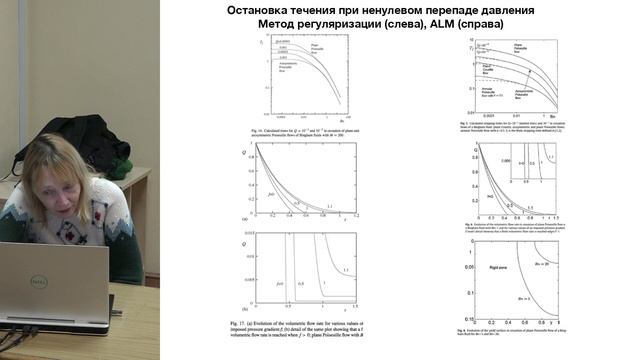 Механика неньютоновских жидкостей - Муравлева Лариса Викторовна
