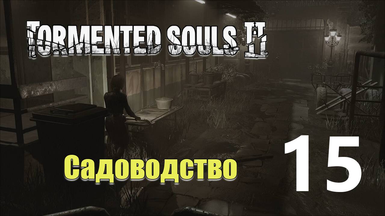 Tormented Souls 2