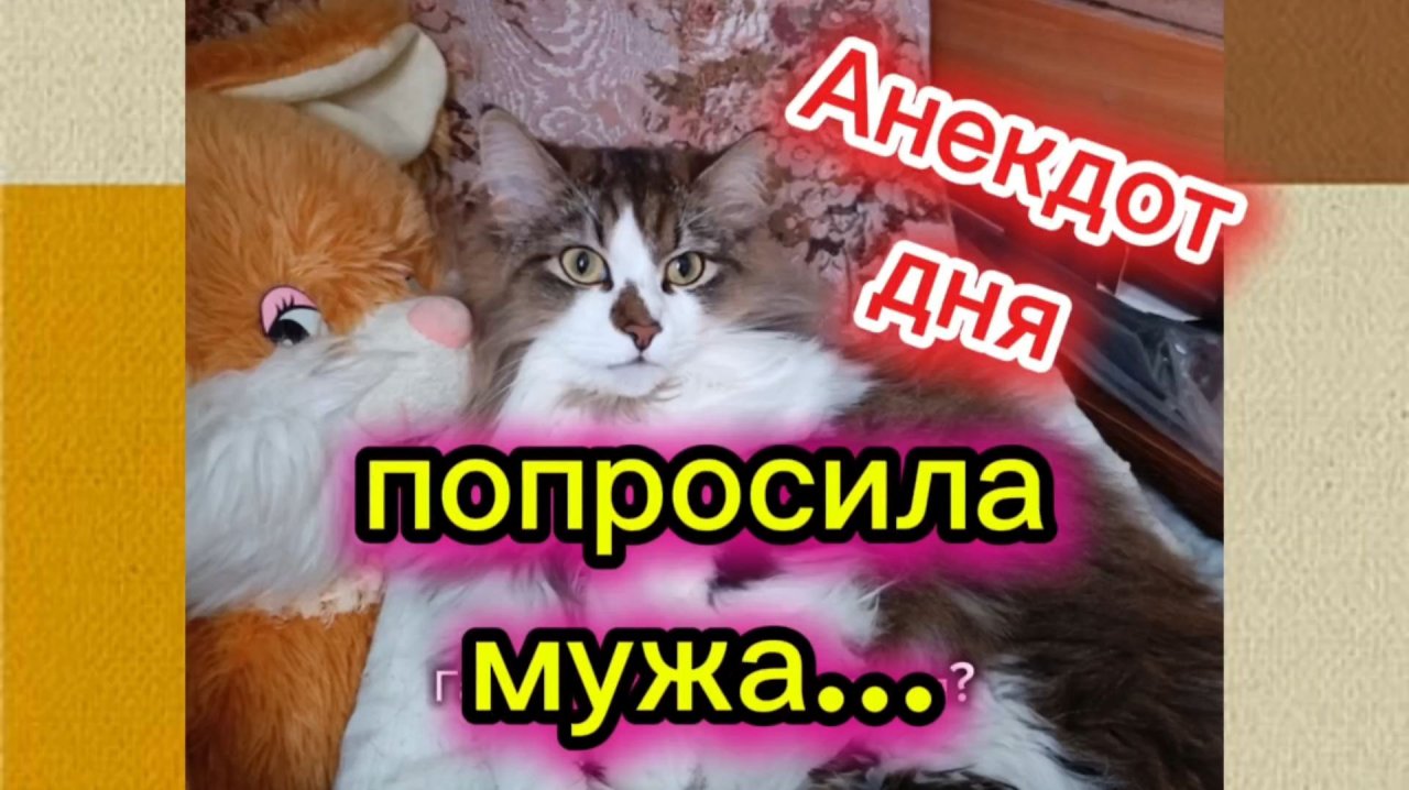 Анекдот дня от кота Фили.
