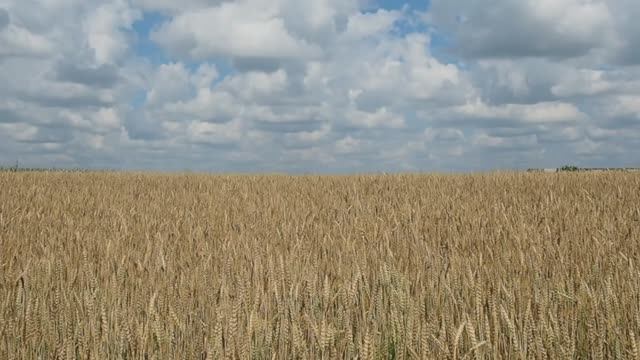 Россия, Западная Сибирь - видео из путешествий.