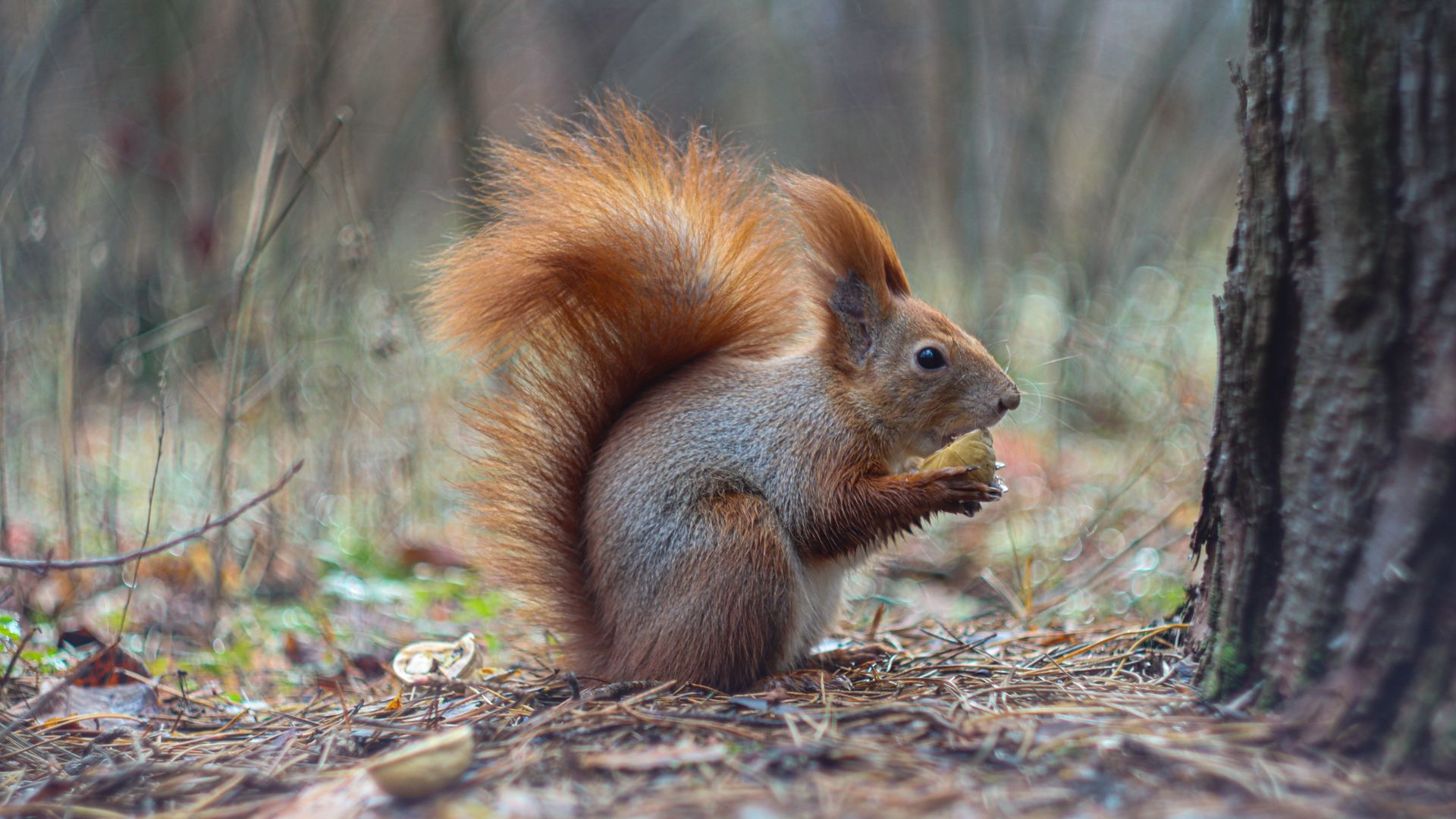 Мои видеоролики