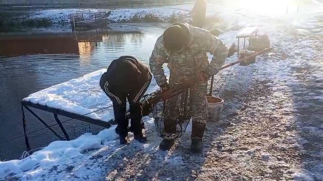 Видео с водоема