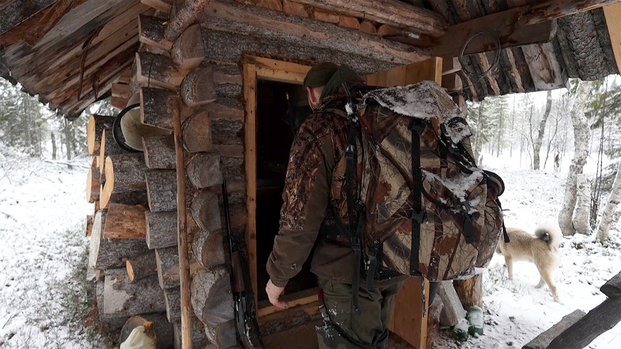 ⁣ЖИВУ В ИЗБЕ, НОЧЬЮ ВОКРУГ ХОДЯТ ВОЛКИ. НАЧАЛО СЕЗОНА ПУШНОГО ПРОМЫСЛА 2025-2026Г.