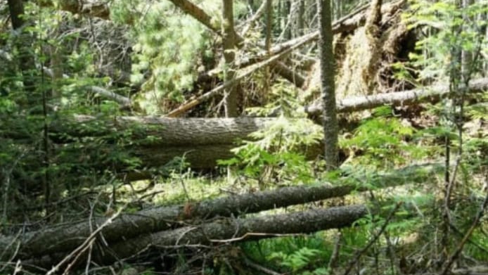 ПОГОВОРИМ ☕ О ВАЖНОМ.