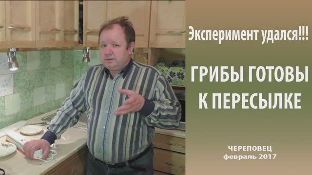 Переработка собранного урожая и его длительное хранение