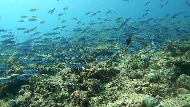 Подводное / Underwater
