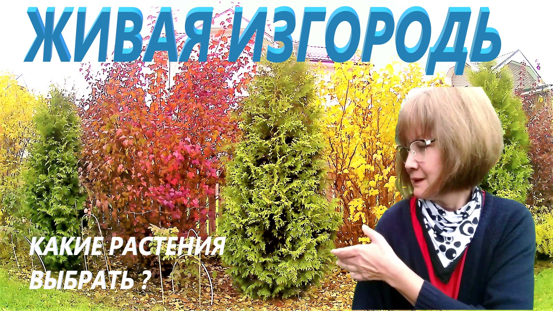 Мой сад 2021 г. – смотреть онлайн все 3 видео от Мой сад 2021 г. в хорошем  качестве на RUTUBE