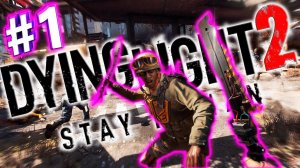 Dying Light 2 Stay Human