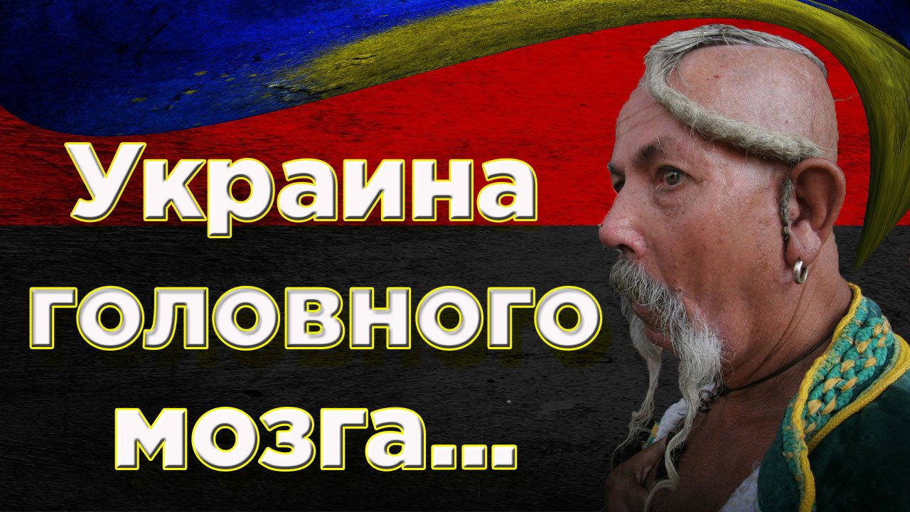 Новости Украины – смотреть онлайн все 3 видео от Новости Украины в хорошем  качестве на RUTUBE