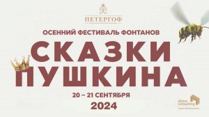 ШОУ - сделано в Студии ″Шоу Консалтинг″