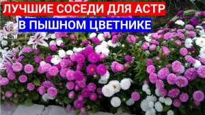 ЦВЕТЫ