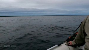 Большой поход 2023 , 1078 км вокруг Ладожского озера на ПВХ лодке