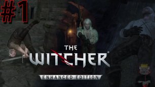 The Witcher: Enhanced Edition Прохождение