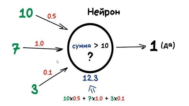 Видеокурсы