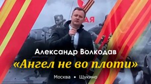 «Ангел не во плоти»