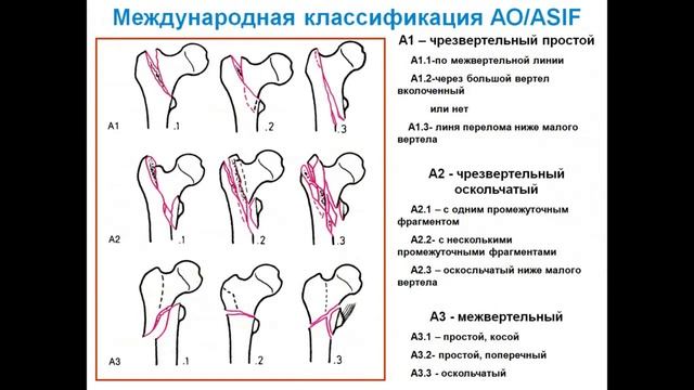 Лекции 2022 года