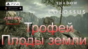 Shadow of the Colossus (В тени колосса) Трофеи [PS4]