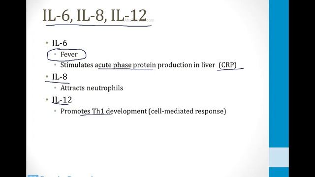 16/17 - ИММУНОЛОГИЯ (для USMLE 2022): серия Boards &amp; Beyond - Immunology (STEP 1)